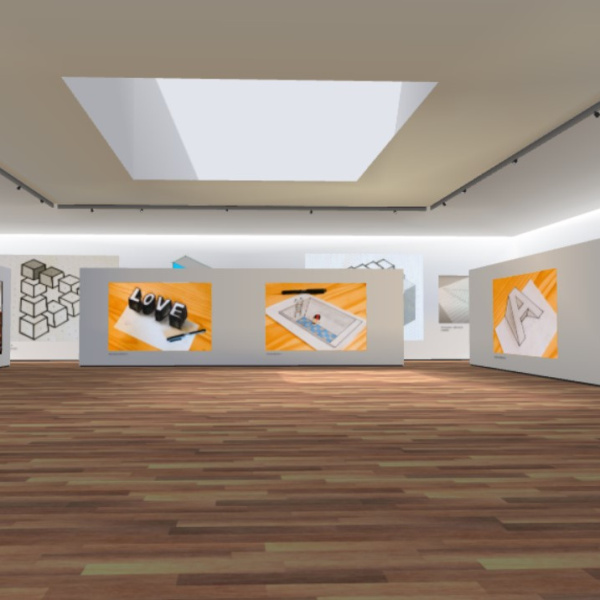 Exposition Anamorphoses - Collège François Truffaut